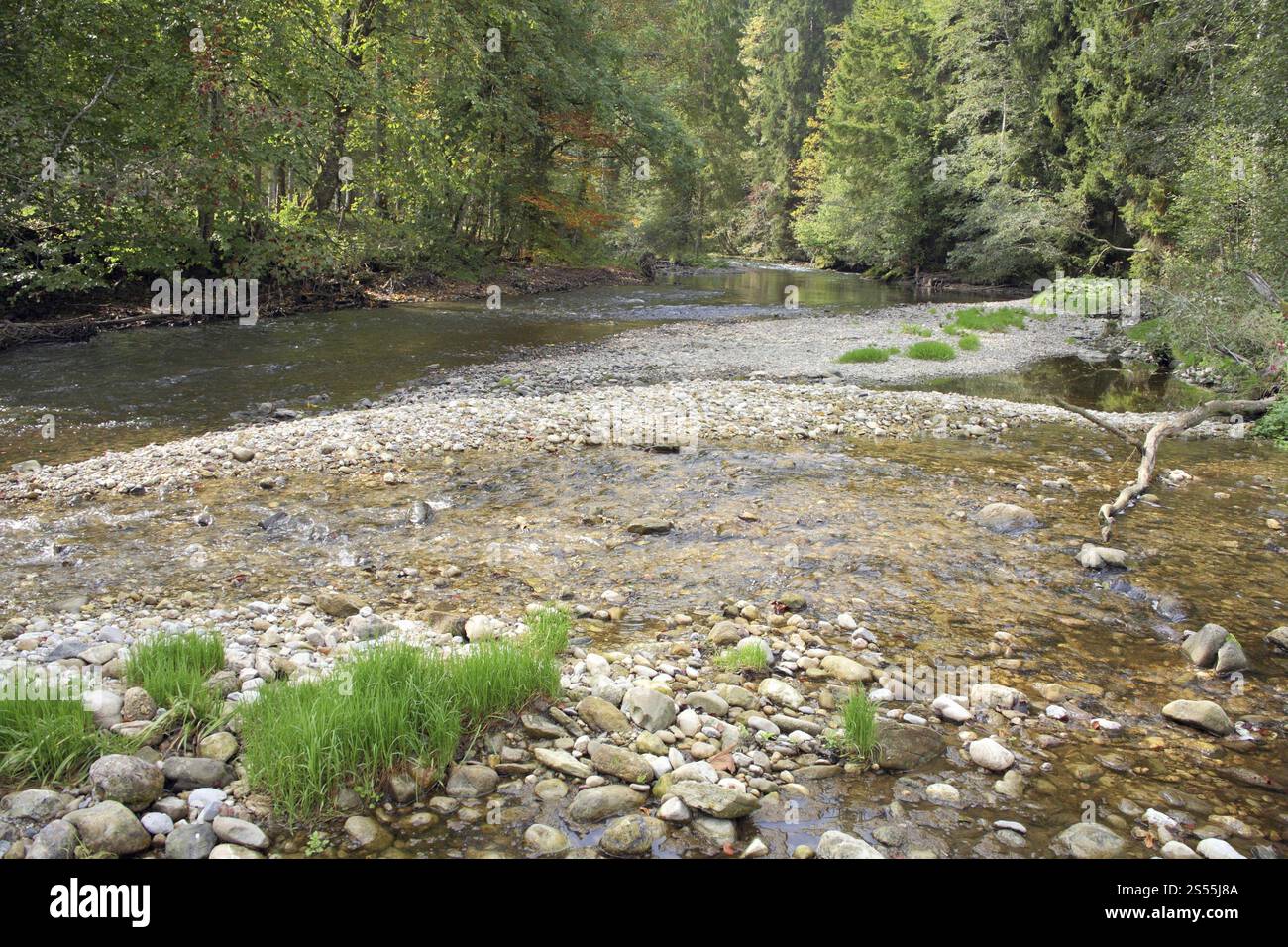 Alpine Mountain River Ecosystem Stock Photo - Alamy