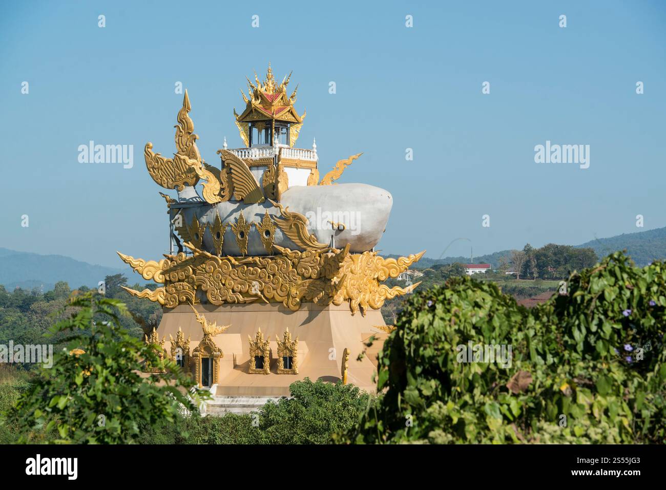 the Mekong catfish Temple or Wat Pla Buek Chiang Khong in the Town of ...