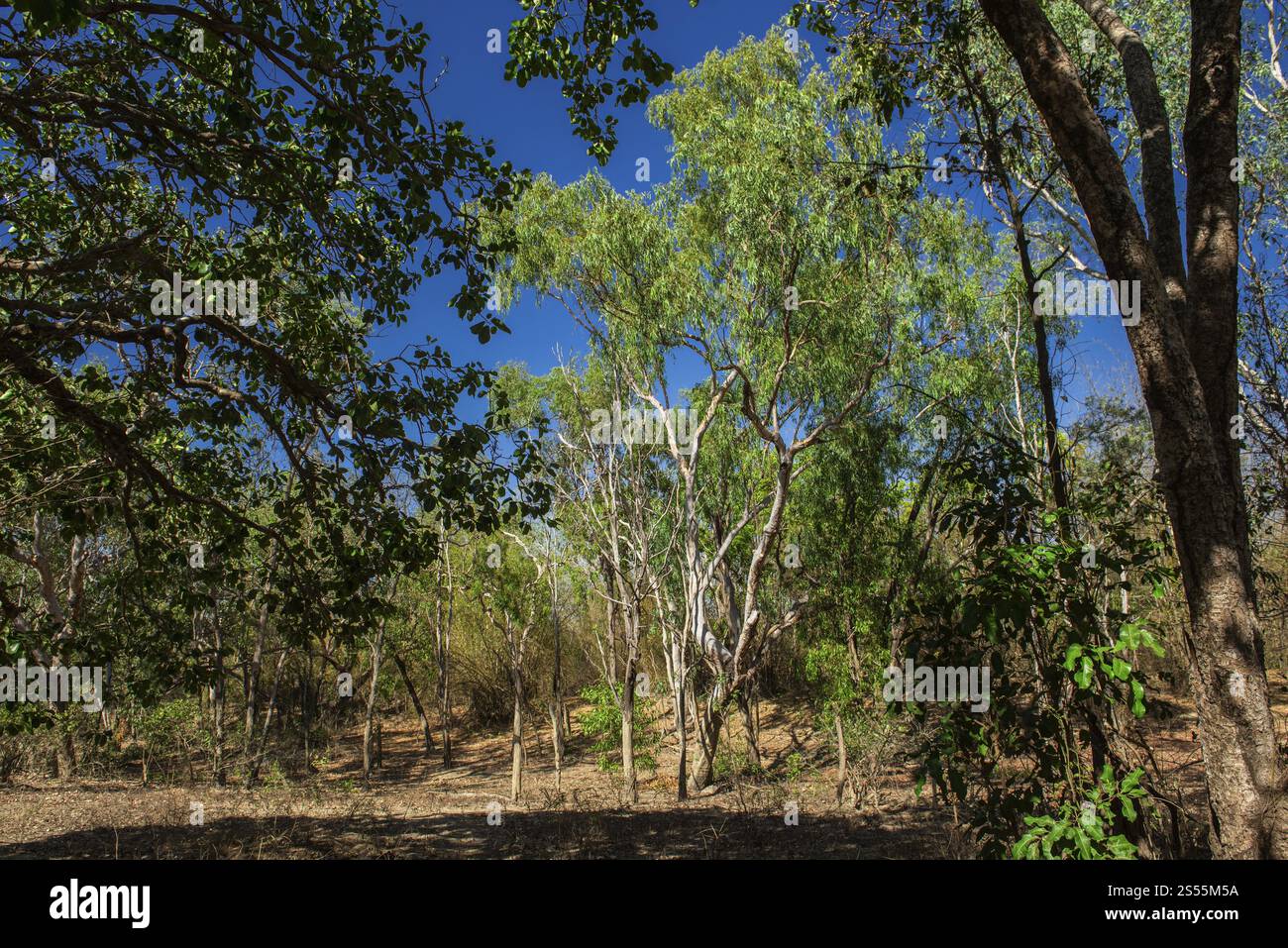 Landscape at the Mary River, Mary River National Park, Northern ...