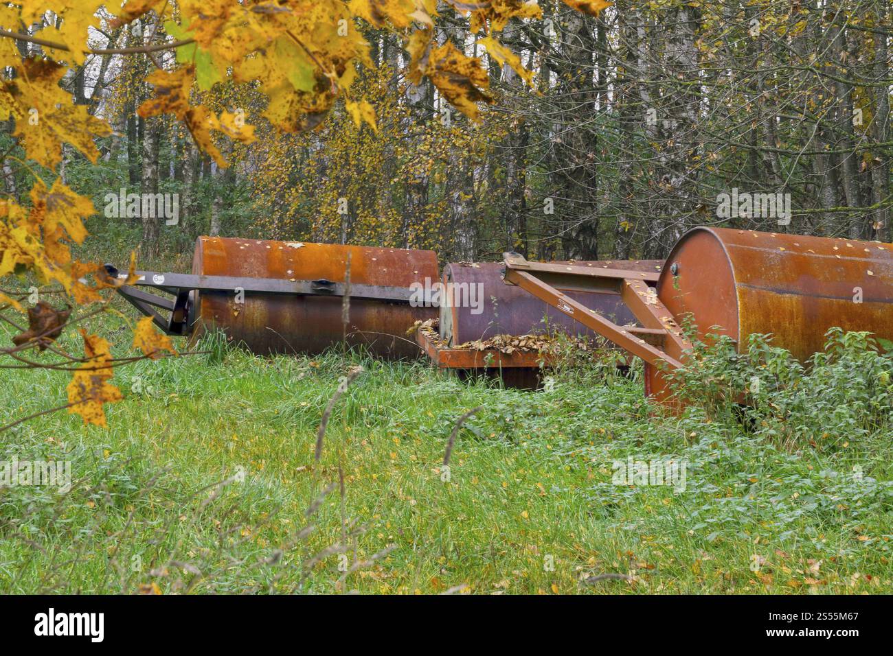 Smooth roller, smooth rolling Stock Photo - Alamy