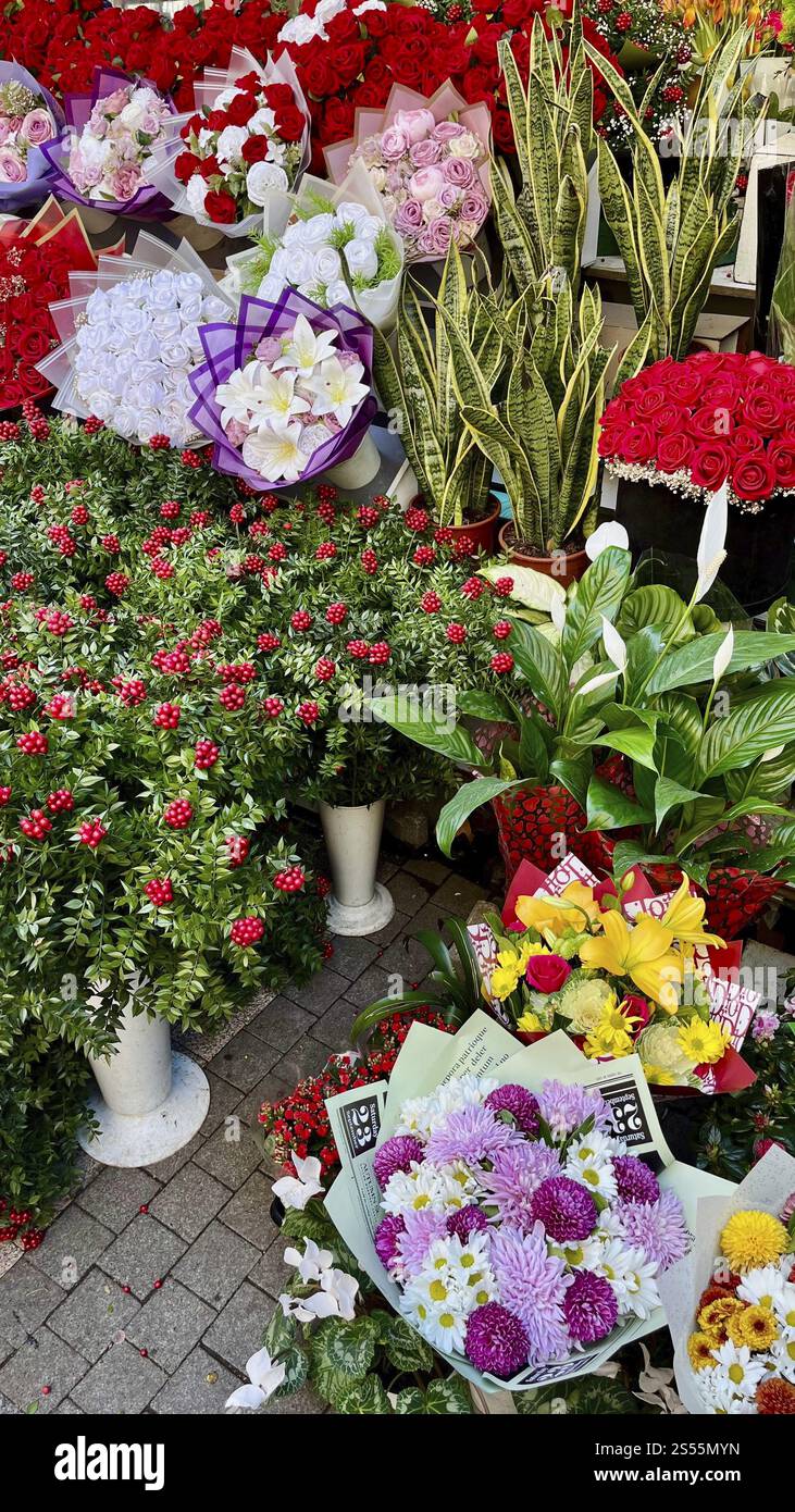 A vivid display of various colorful flower bouquets and plants in a ...