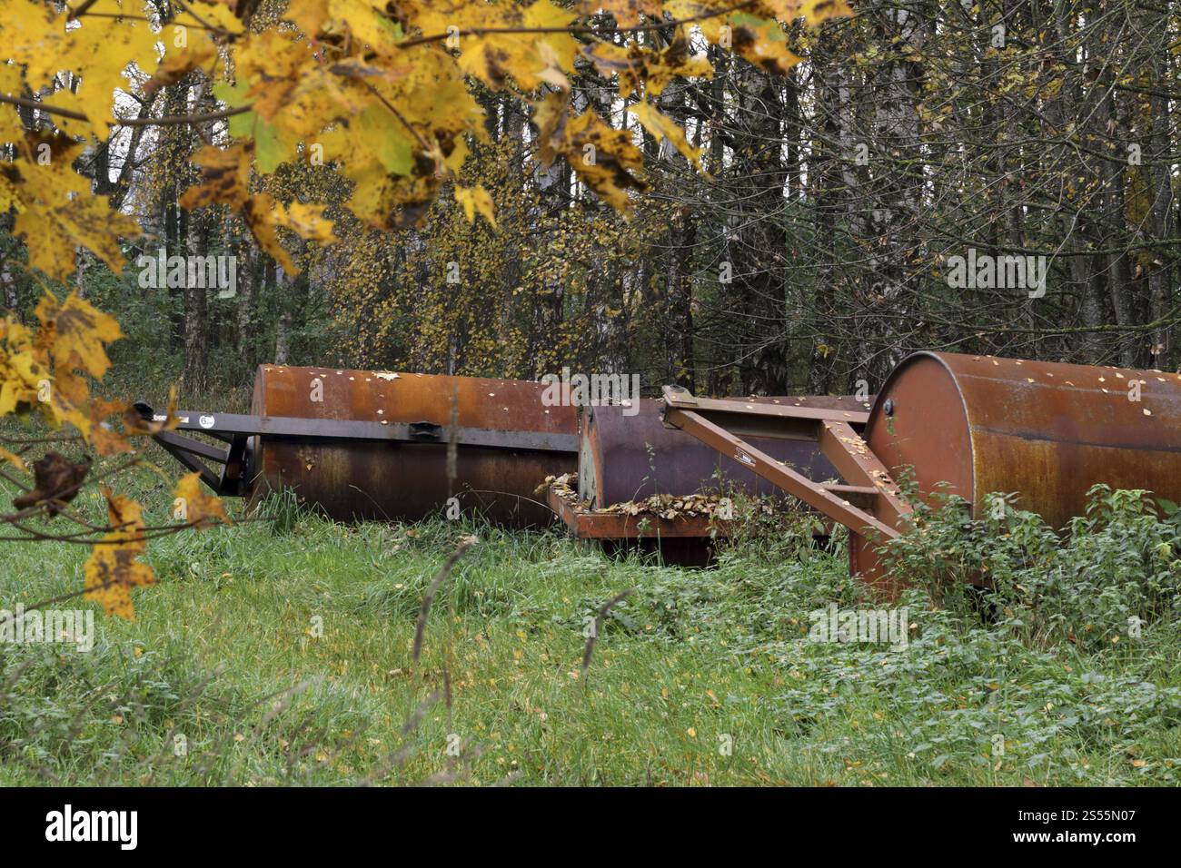 Smooth roller, smooth rolling Stock Photo - Alamy