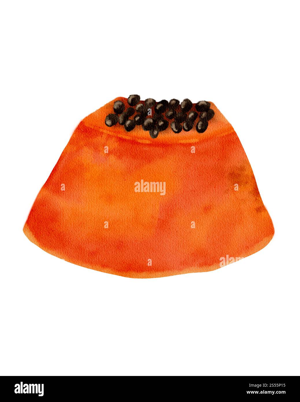 A vibrant and colorful illustration of a papaya fruit, displaying its ...