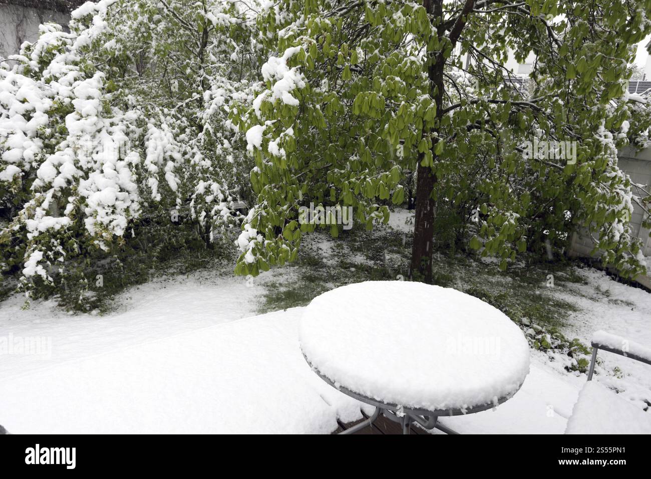 Spring scene in may hi-res stock photography and images - Alamy