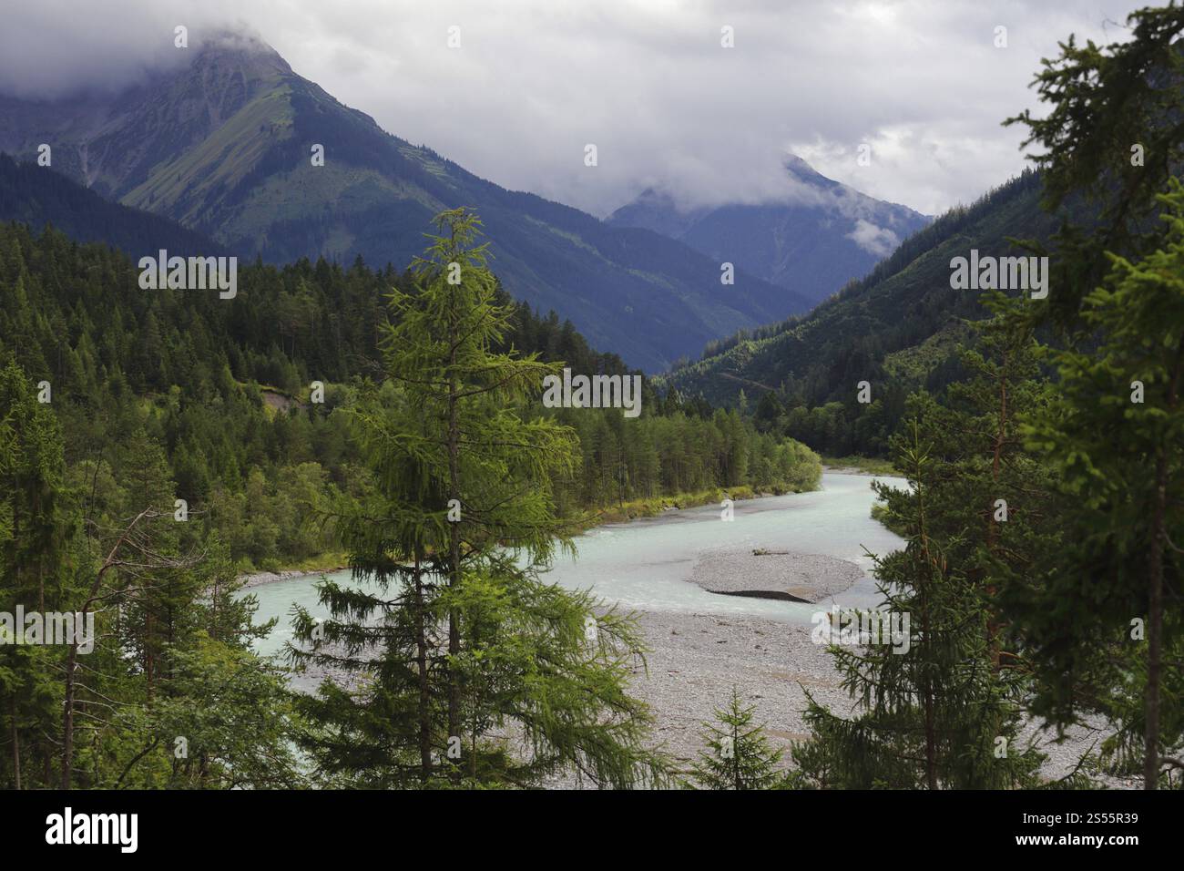 Habitat lechtal hi-res stock photography and images - Alamy