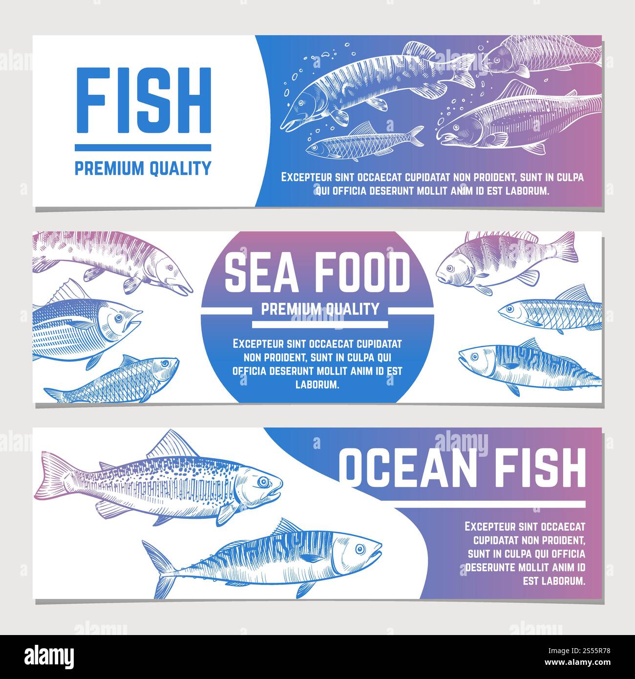 Fish banners. River and ocean sketch fishes seafood packaging vector ...