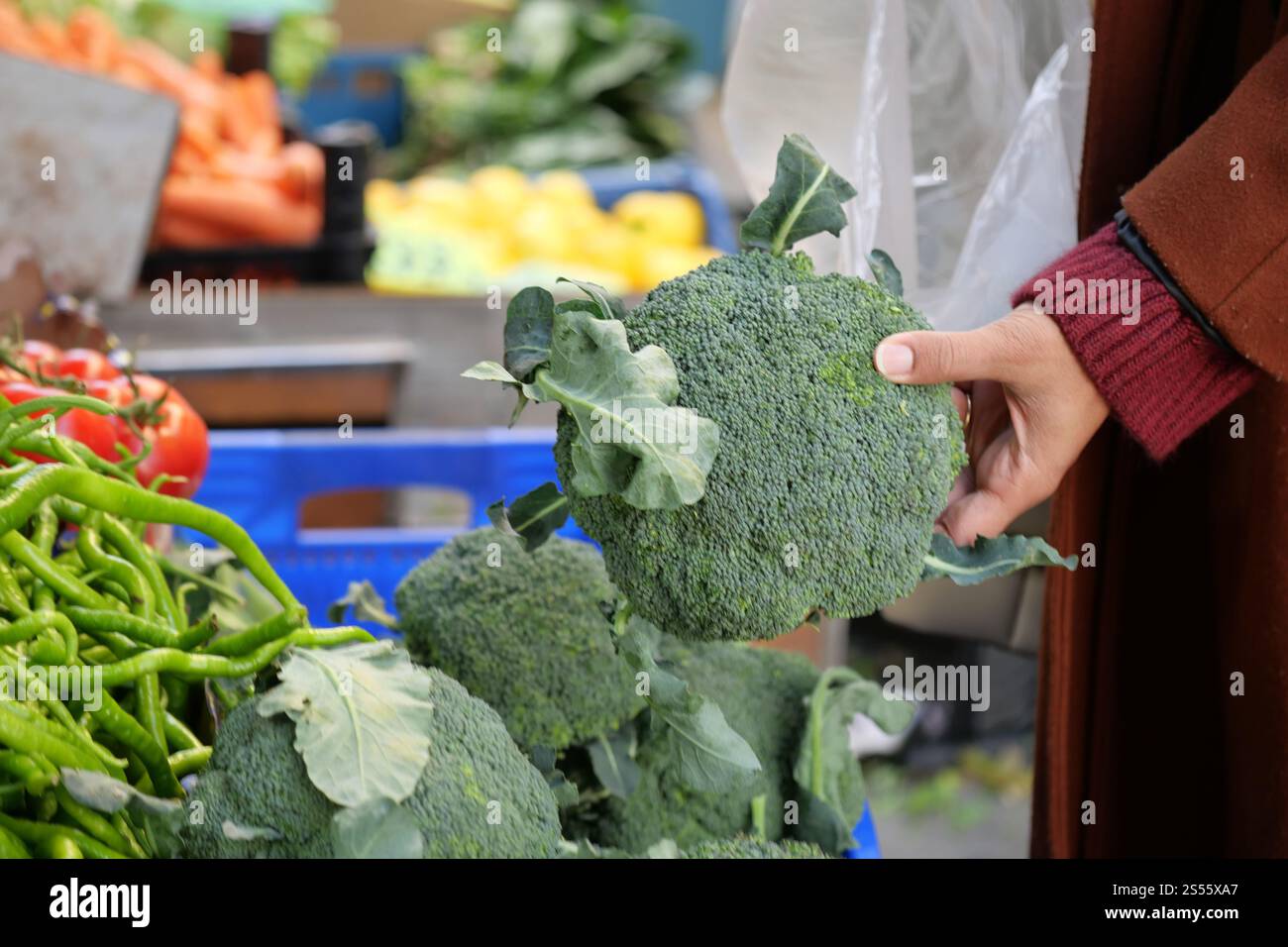 Discover the Fresh Broccoli Selection Available at a Local Market Today ...