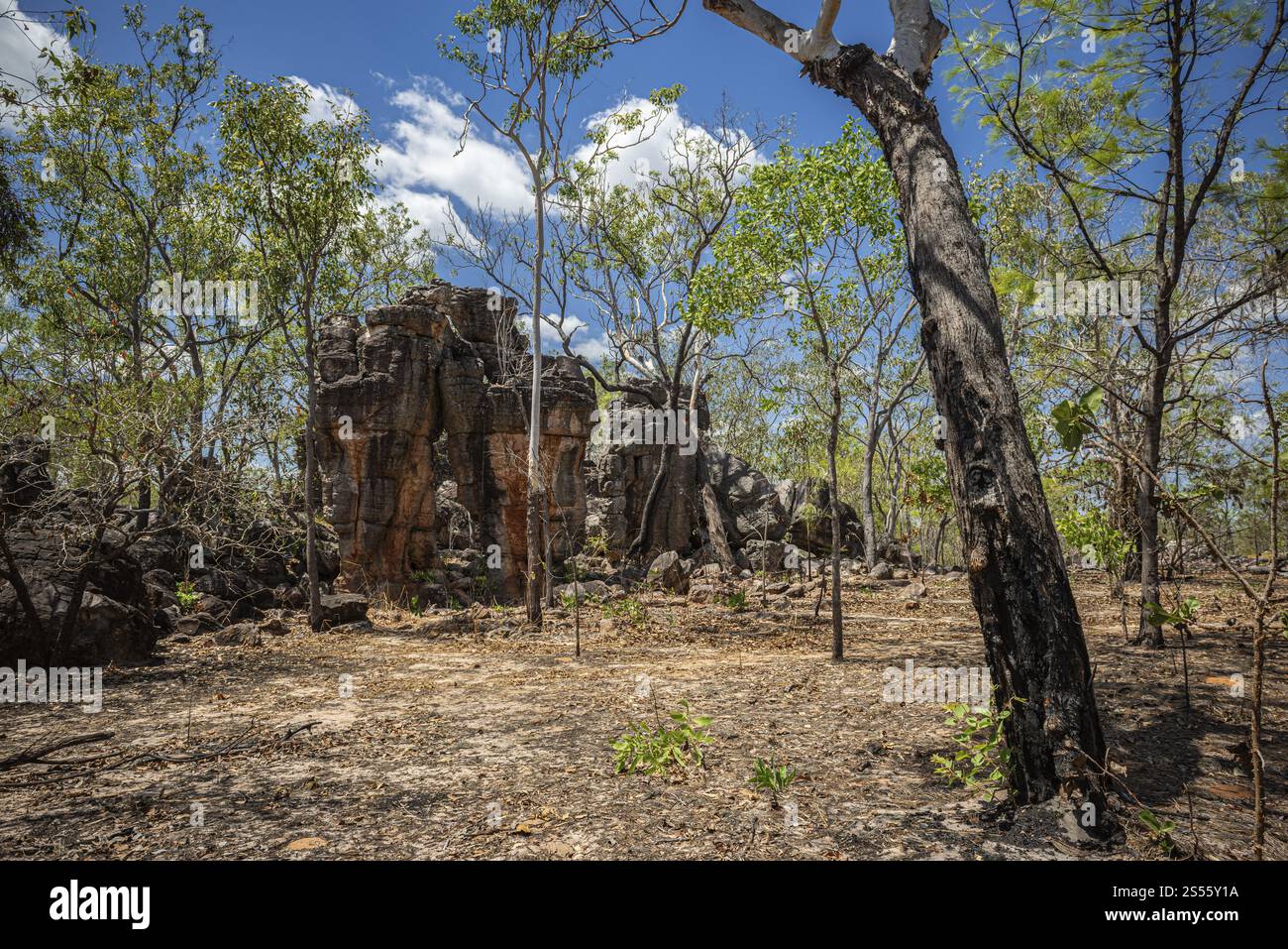 Rock formations of the Lost City, Litchfield National Park, Northern ...