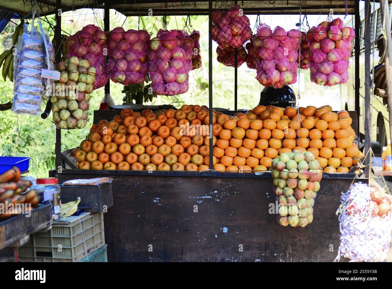 Fort Cochin, Cochin, Kerala, South India, India, Asia, A colourful ...