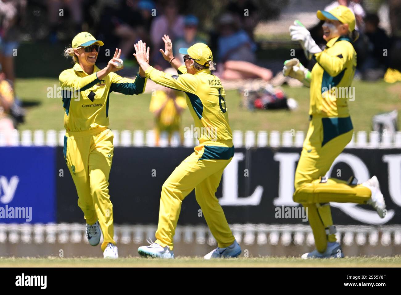 Melbourne, Australia. 14th Jan, 2025. Ashleigh Gardner of Australia ...