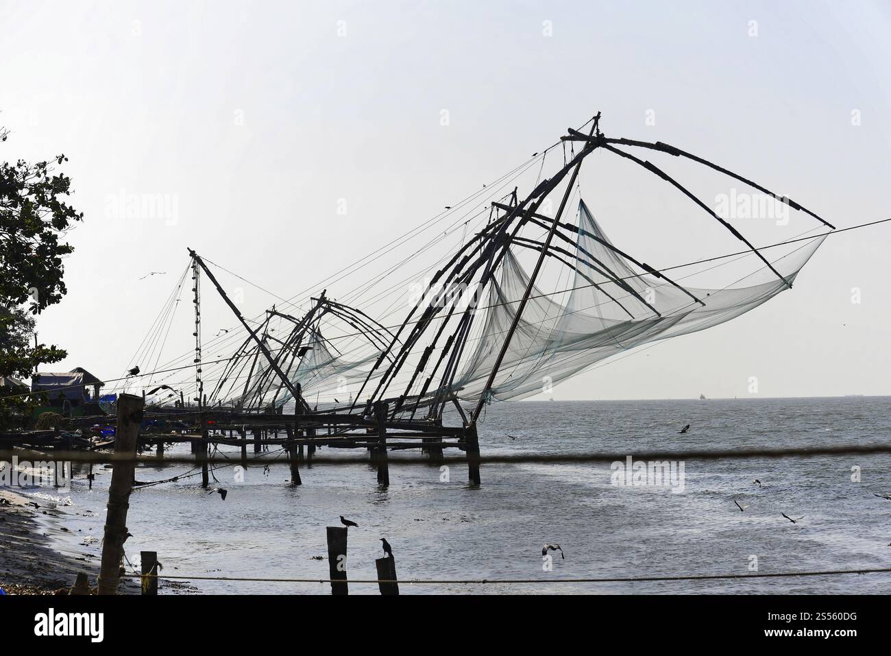 Fort Kochi, Kochi, Kerala, South India, Fishing nets stretch across the ...