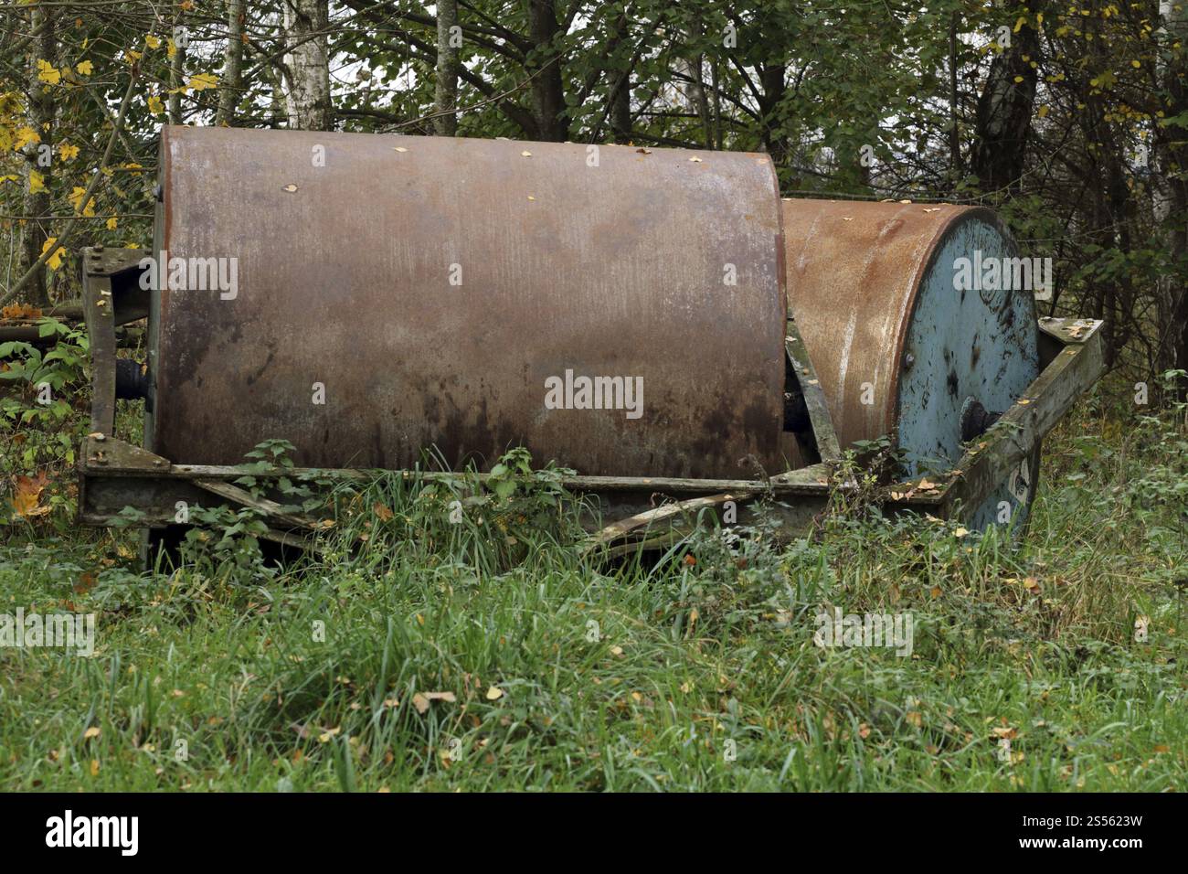 Smooth roller, smooth rolling Stock Photo - Alamy
