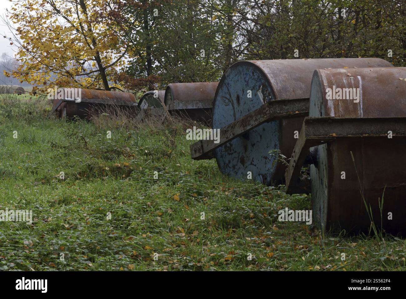 Smooth roller, smooth rolling Stock Photo - Alamy