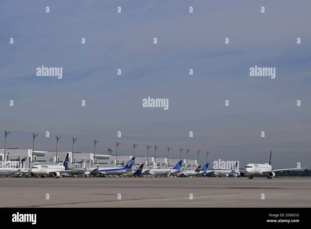 Various aircraft from different airlines, Lufthansa, ANA, United ...