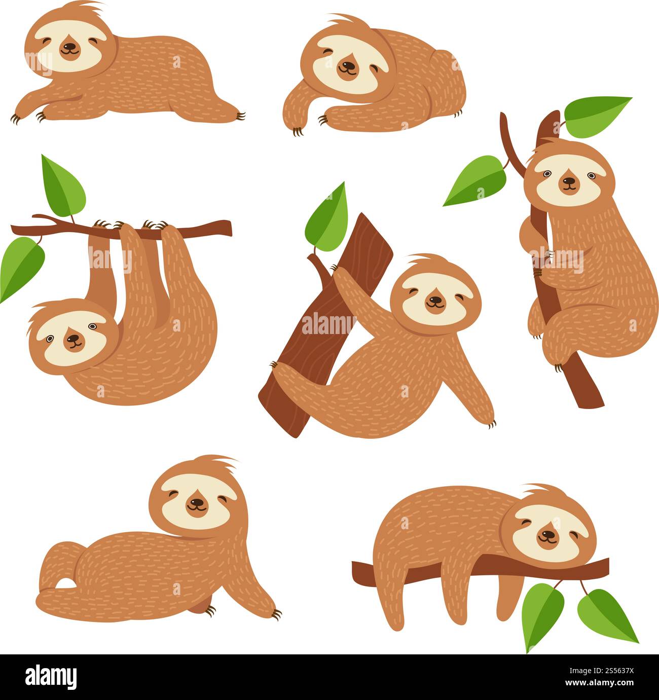 Cute sloths. Cartoon sloth hanging on tree branch. Baby jungle animal ...