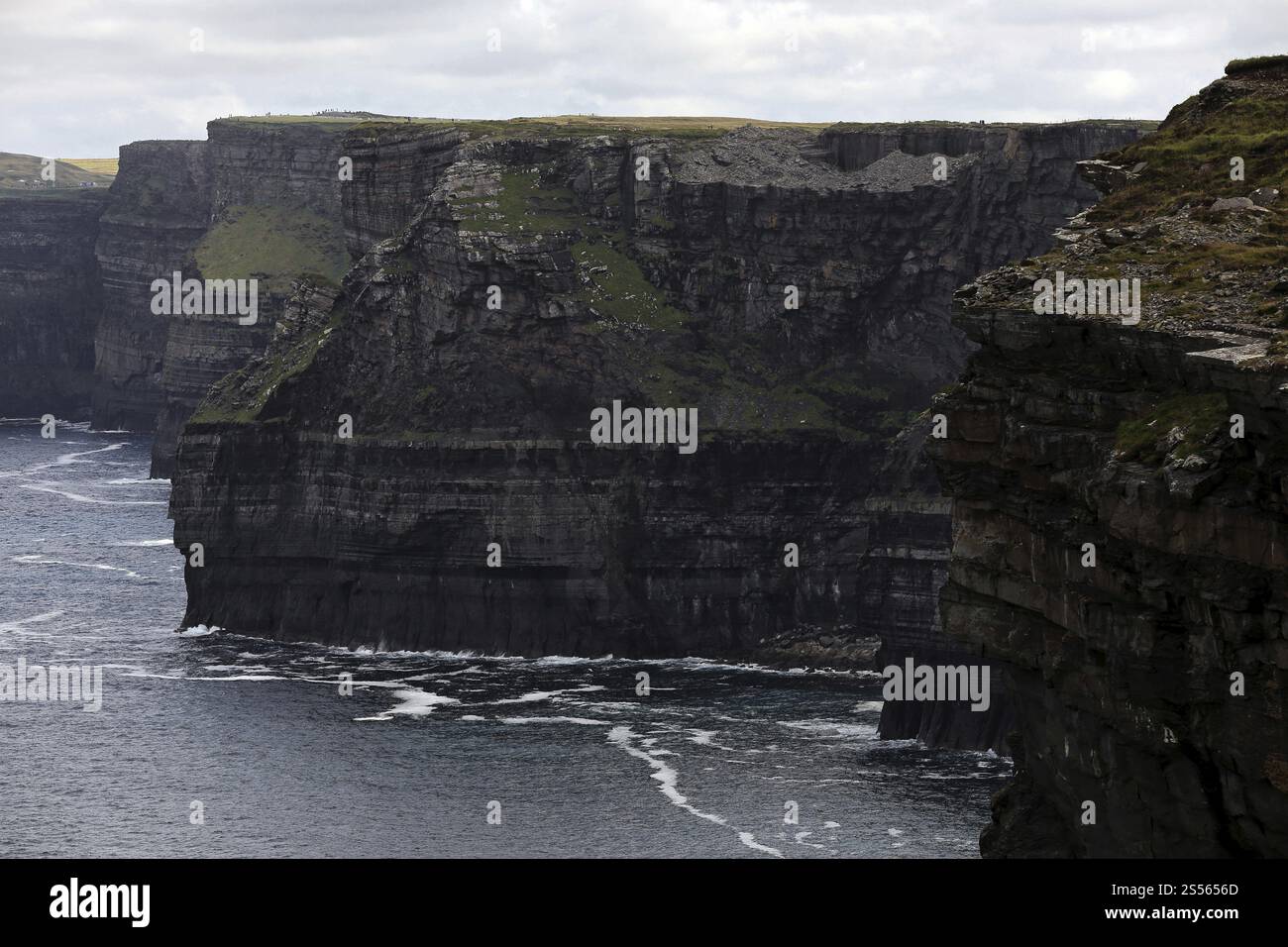 Cliffs of Moher, Galway, Irland Stock Photo - Alamy