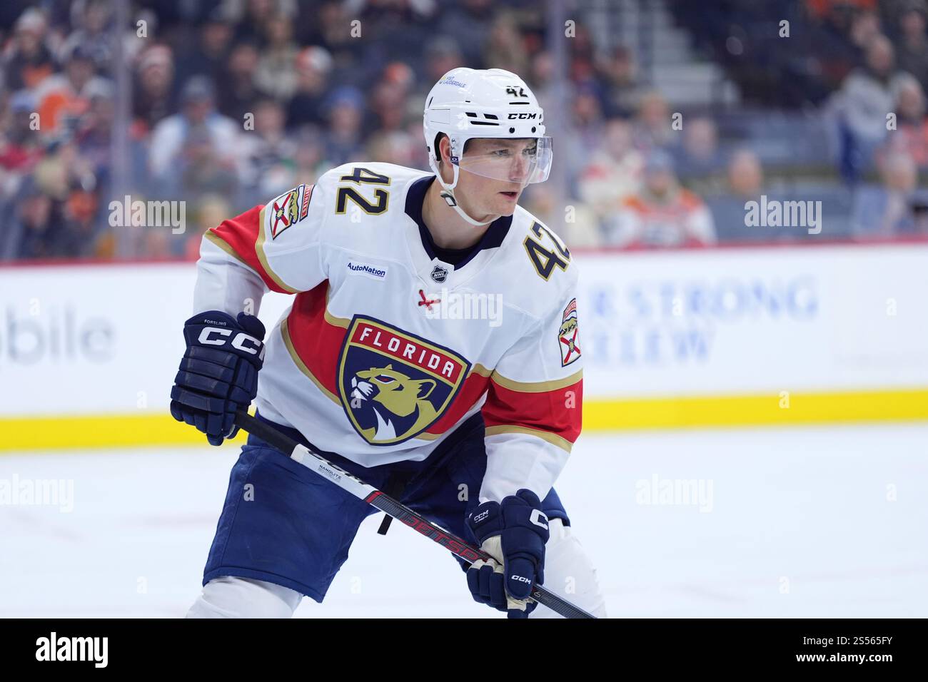 Florida Panthers' Gustav Forsling plays during an NHL hockey game ...