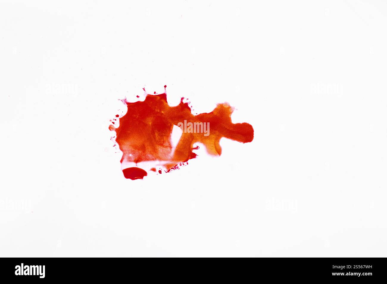 Abstract ink background. watercolor ink drops on white paper. black ...