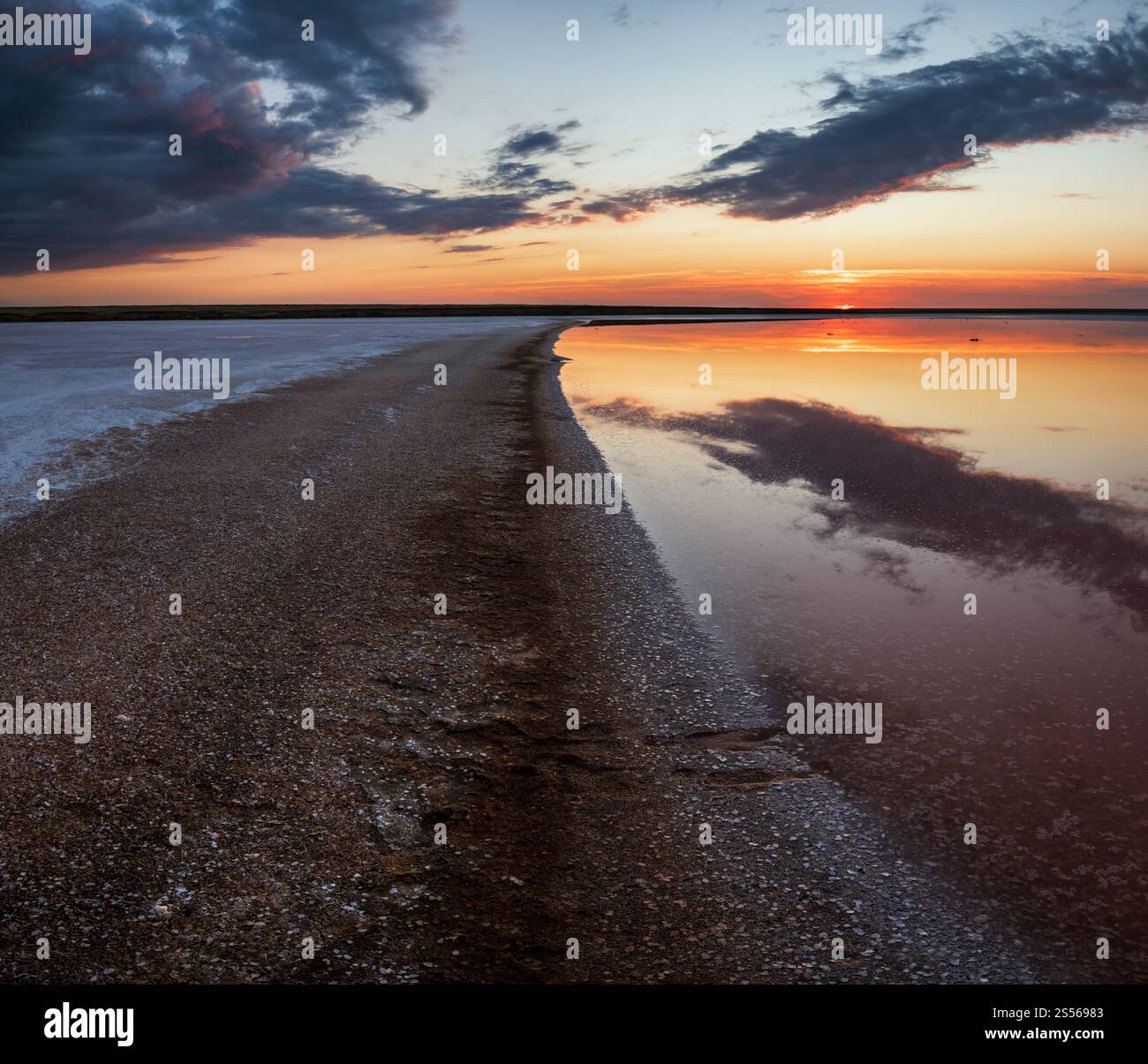 Sunset on the Genichesk pink extremely salty lake (colored by ...
