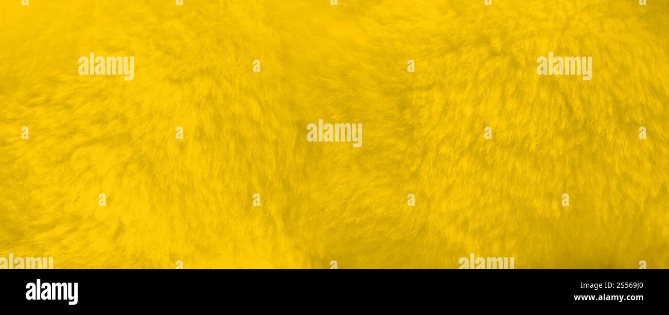 Yellow fur background close up view. Banner wallpaper. Yellow fur ...