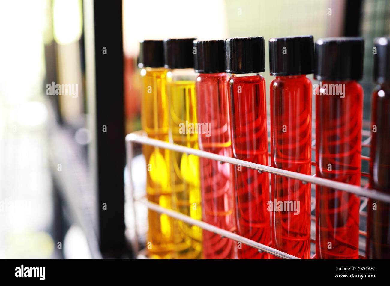 Chemical industry Performing biochemical laboratory tests blood tests ...