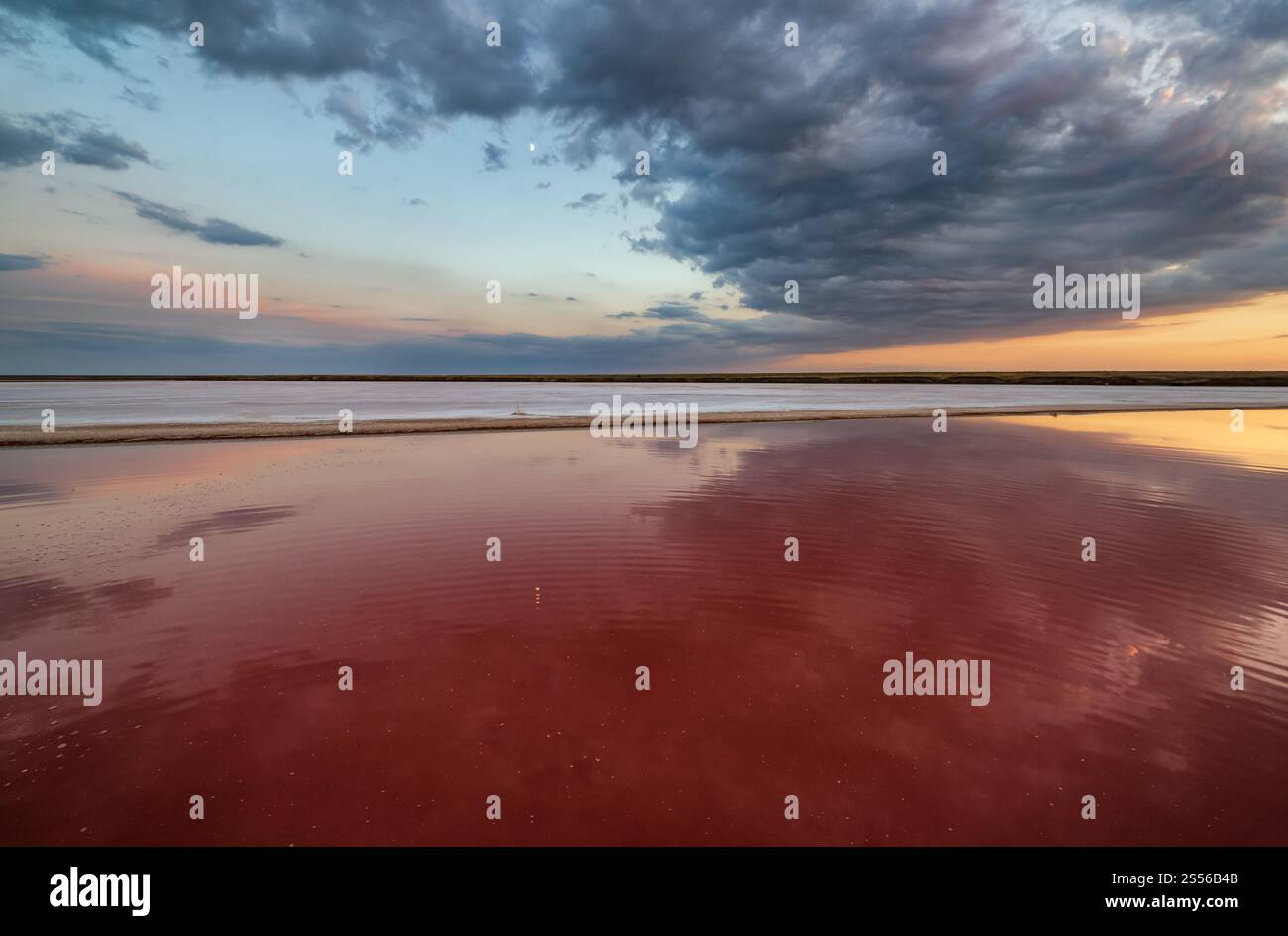 Sunset on the Genichesk pink extremely salty lake (colored by ...