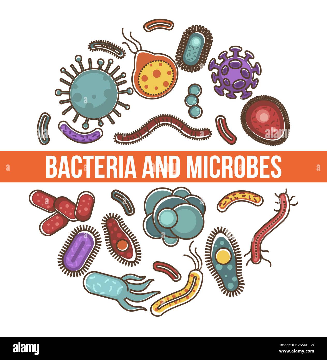 Bacteria and microbes science poster with biological organisms. Simplest micro bodies with short ...
