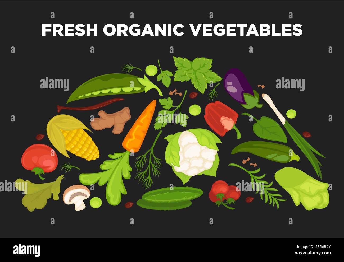 Fresh vegetables advertisement with organic healthy vegetarian products ...