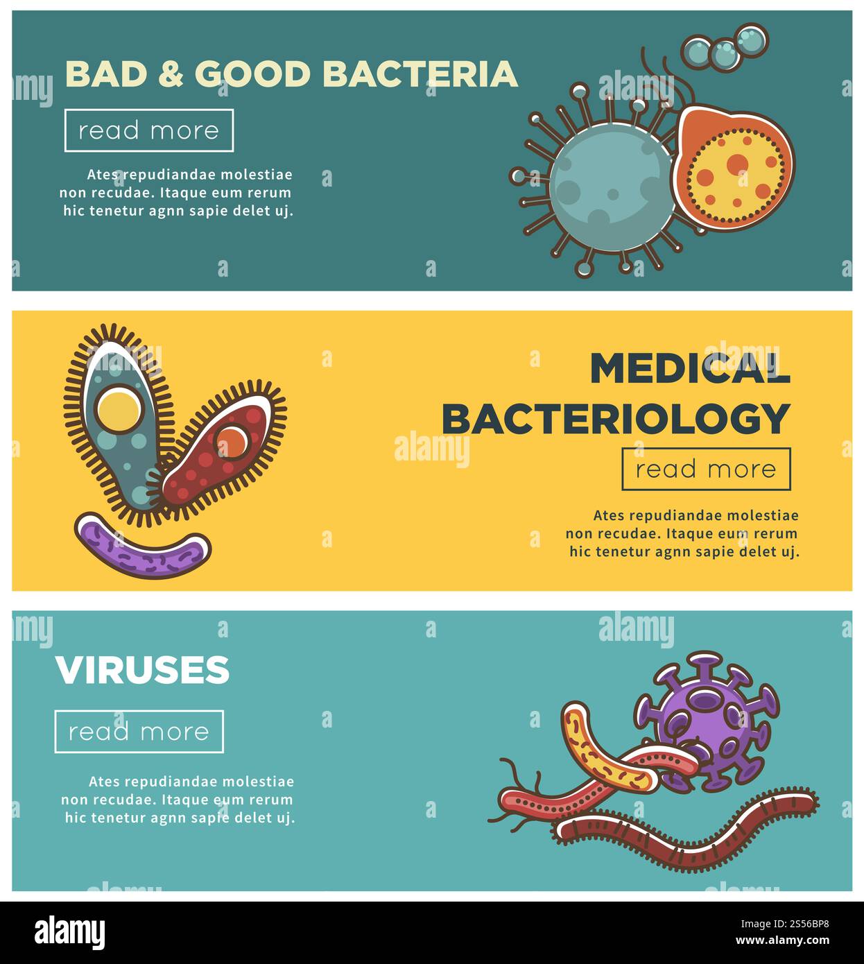 Bad and good bacteria, harmful viruses and medical bacteriology ...