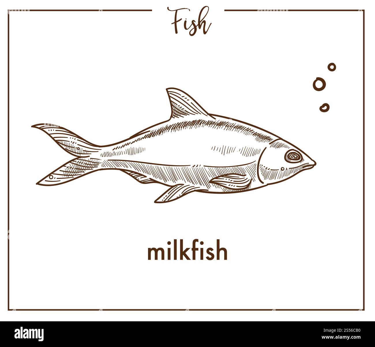Milkfish sketch fish icon. Vector isolated chanos or bangus species ...