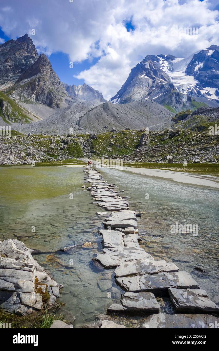 Cow lake, Lac des Vaches, in Vanoise national Park, Savoy, France. Cow ...