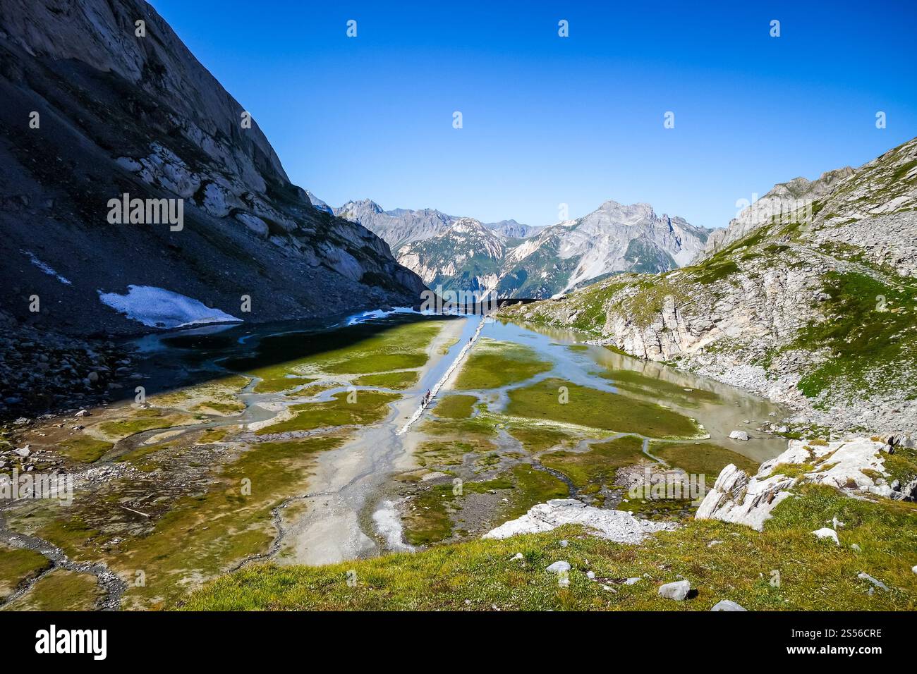 Cow lake, Lac des Vaches, in Vanoise national Park, Savoy, France. Cow ...