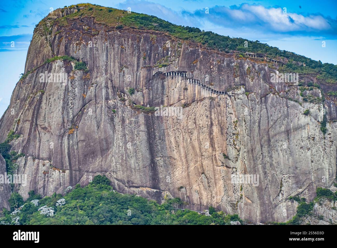24.7% of people in Rio de Janeiro live below the poverty line. The city ...