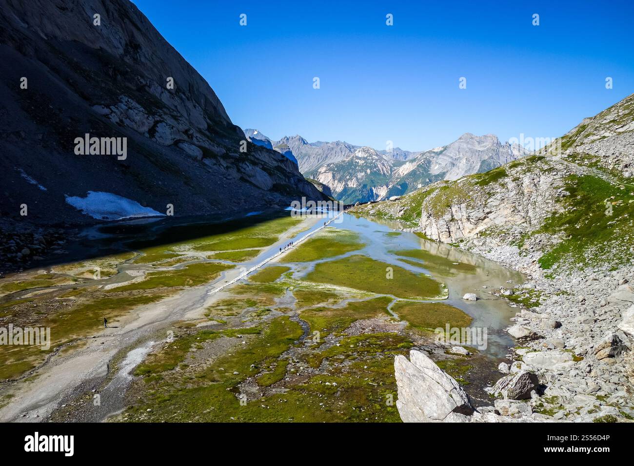 Cow lake, Lac des Vaches, in Vanoise national Park, Savoy, France. Cow ...