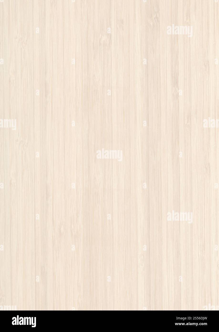 White wood surface background texture. Clean wooden panel. White wood ...