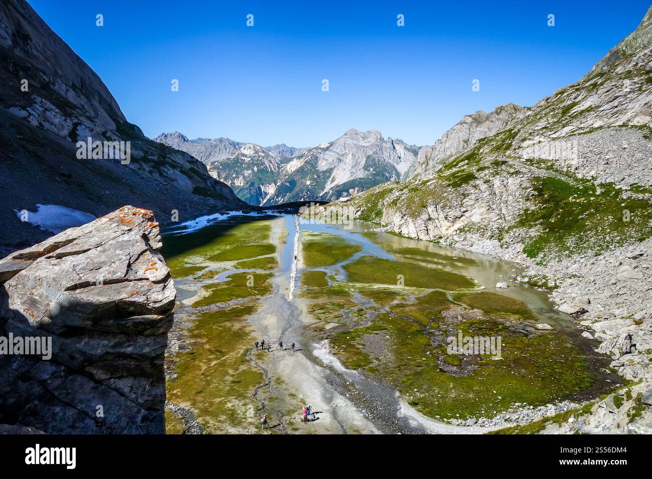 Cow lake, Lac des Vaches, in Vanoise national Park, Savoy, France. Cow ...