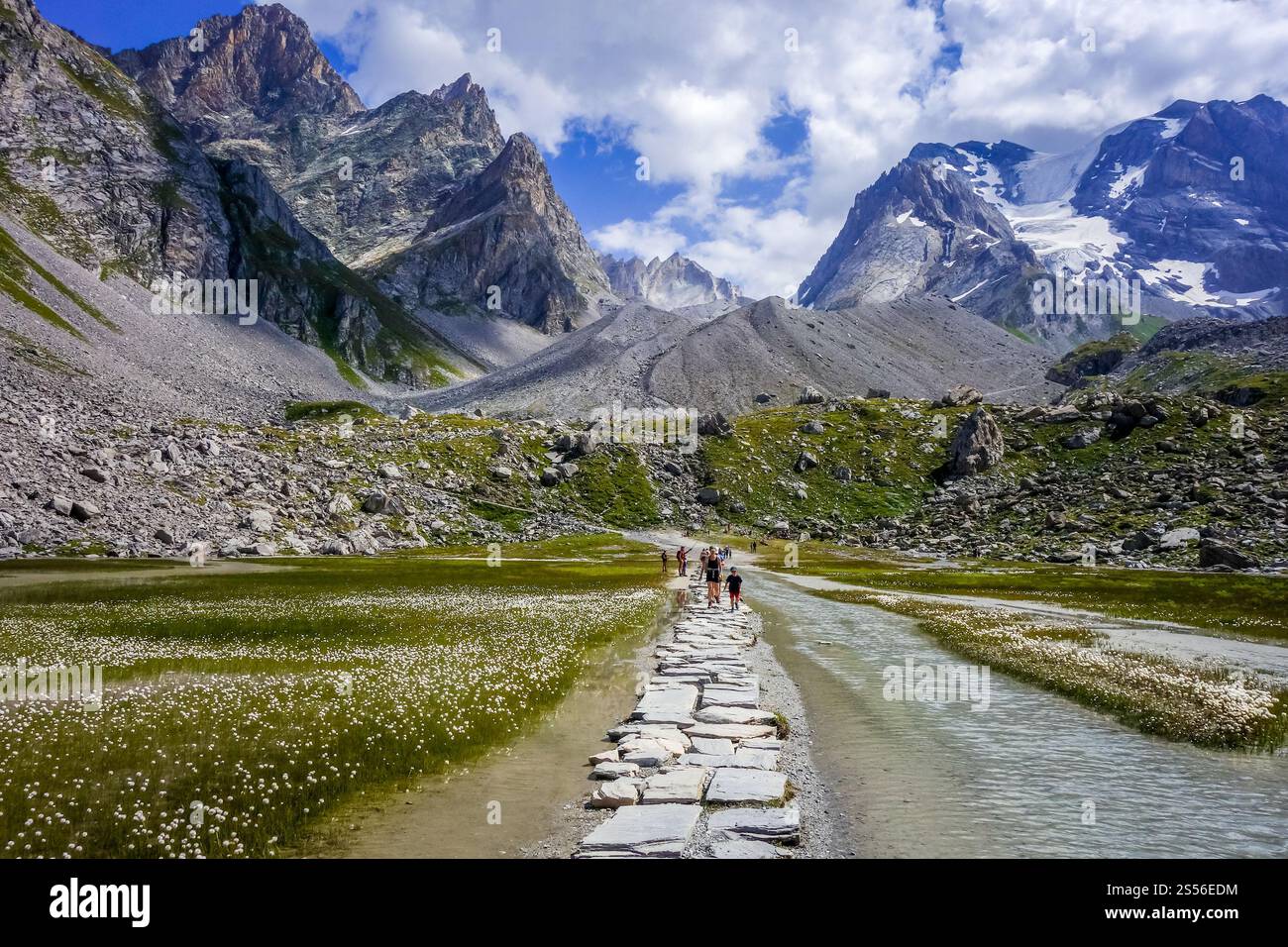 Cow lake, Lac des Vaches, in Vanoise national Park, Savoy, France. Cow ...