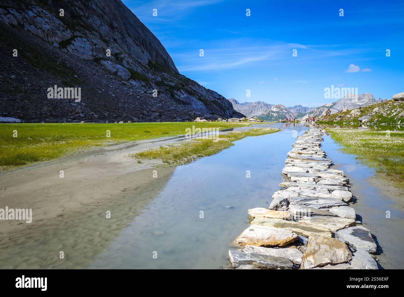 Cow lake, Lac des Vaches, in Vanoise national Park, Savoy, France. Cow ...
