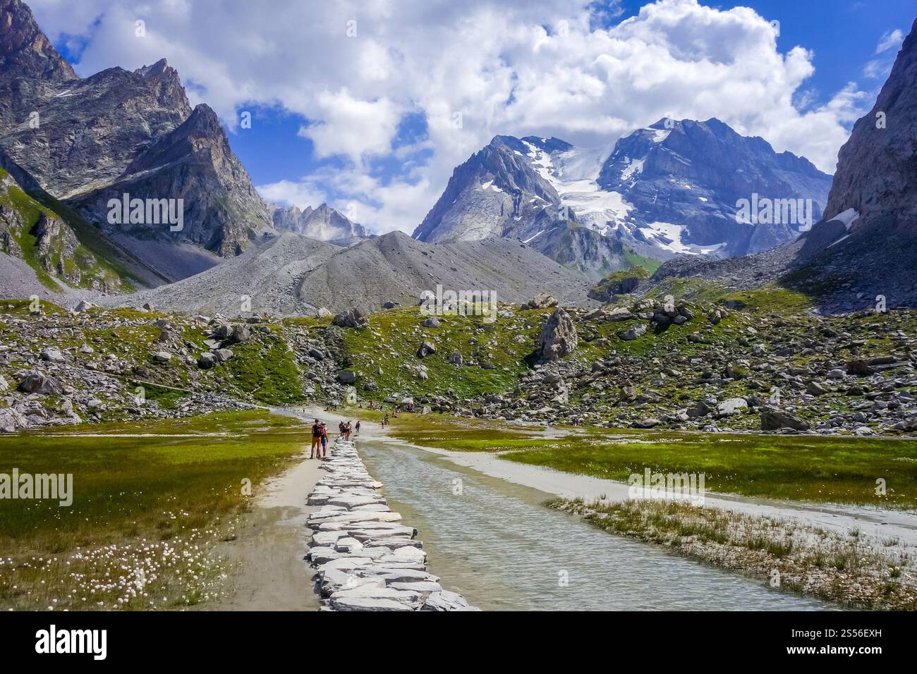 Cow lake, Lac des Vaches, in Vanoise national Park, Savoy, France. Cow ...