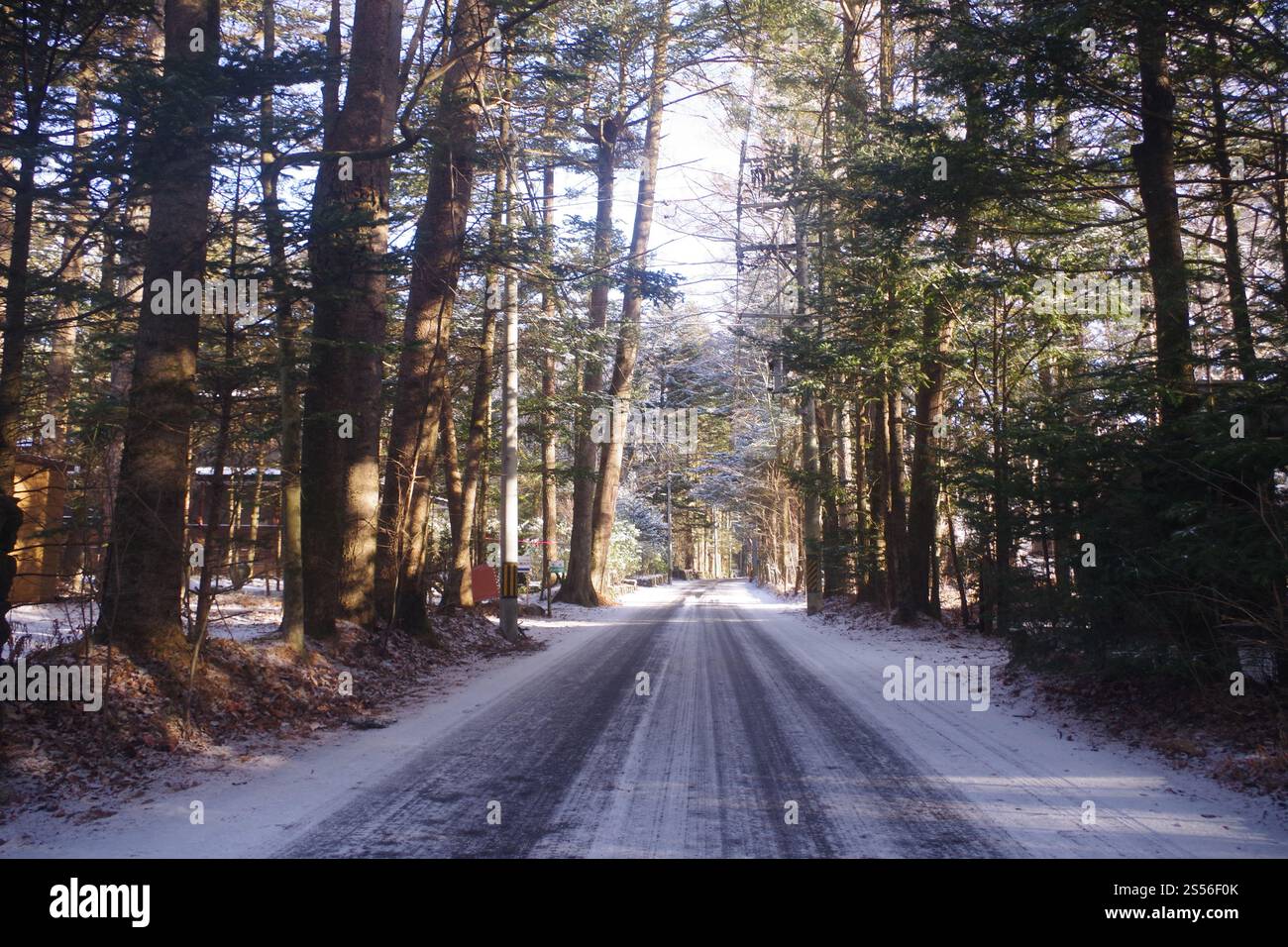 Snowy Road in Karuizawa, Nagano Prefecture, Japan Stock Photo - Alamy