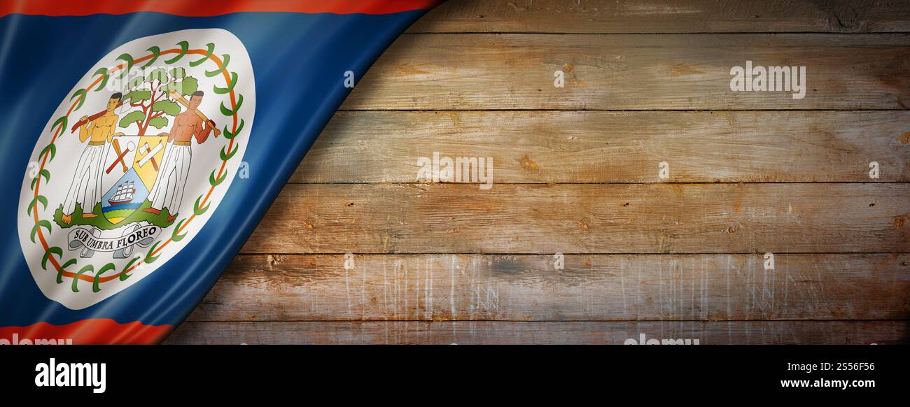 Belize flag on vintage wood wall. Horizontal panoramic banner. Belize ...