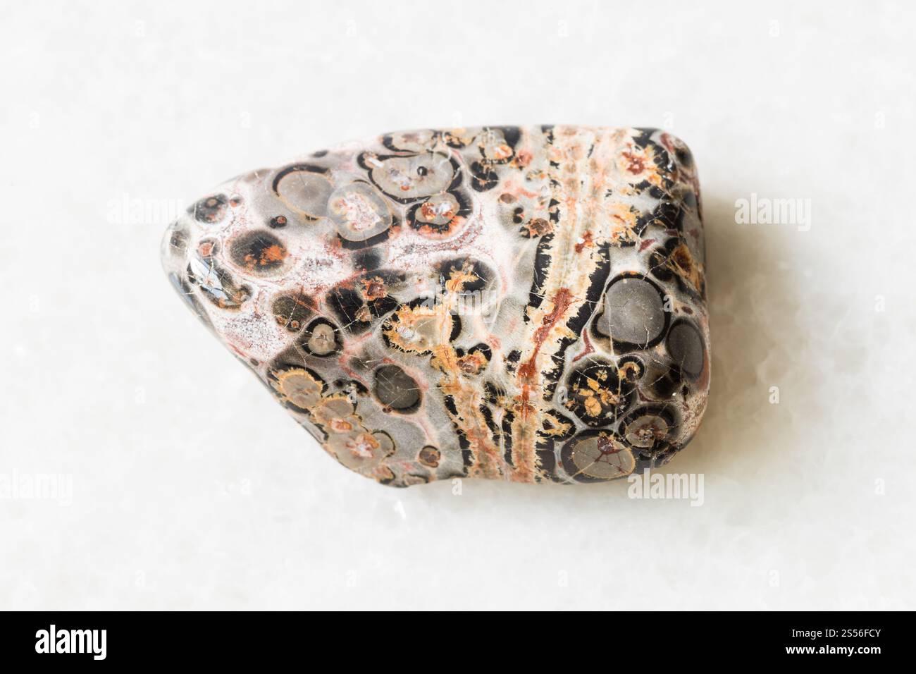 closeup of sample of natural mineral from geological collection ...