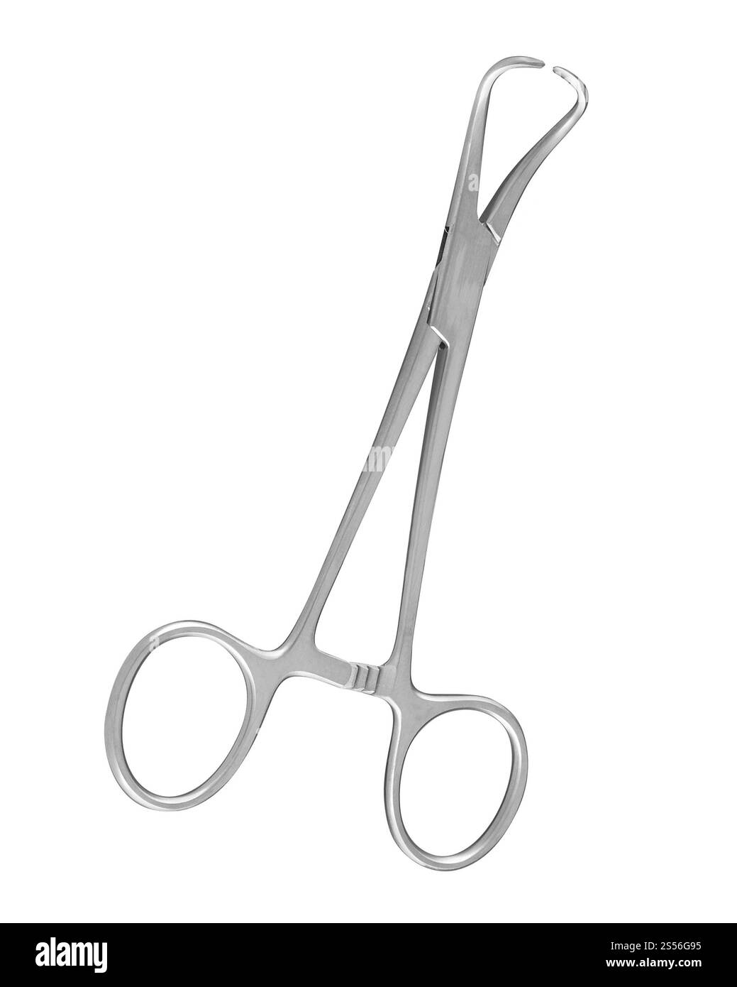 surgical clip isolated on white background. surgical clip Stock Photo ...