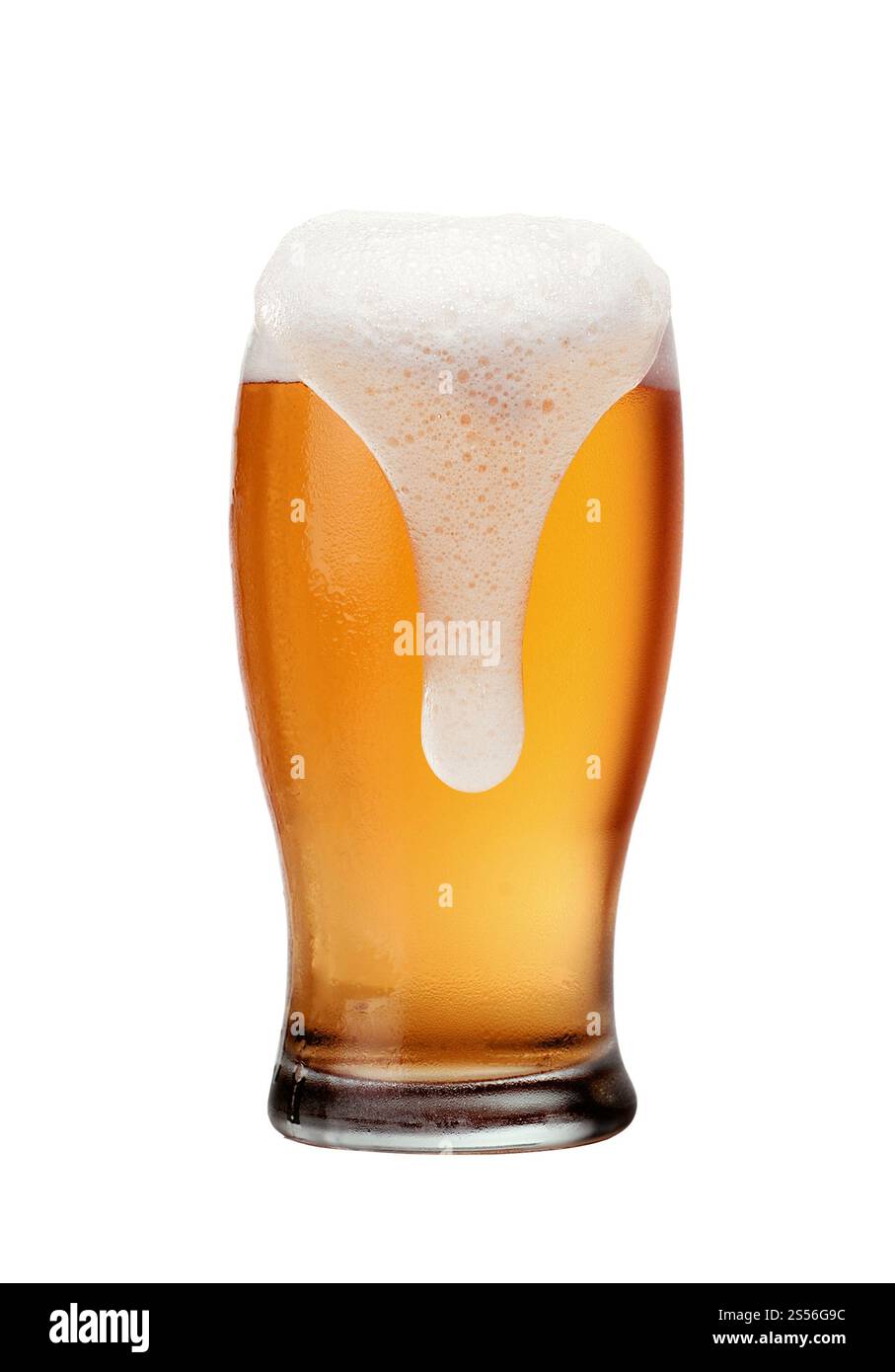 Beer isolated on white background. Beer Stock Photo - Alamy