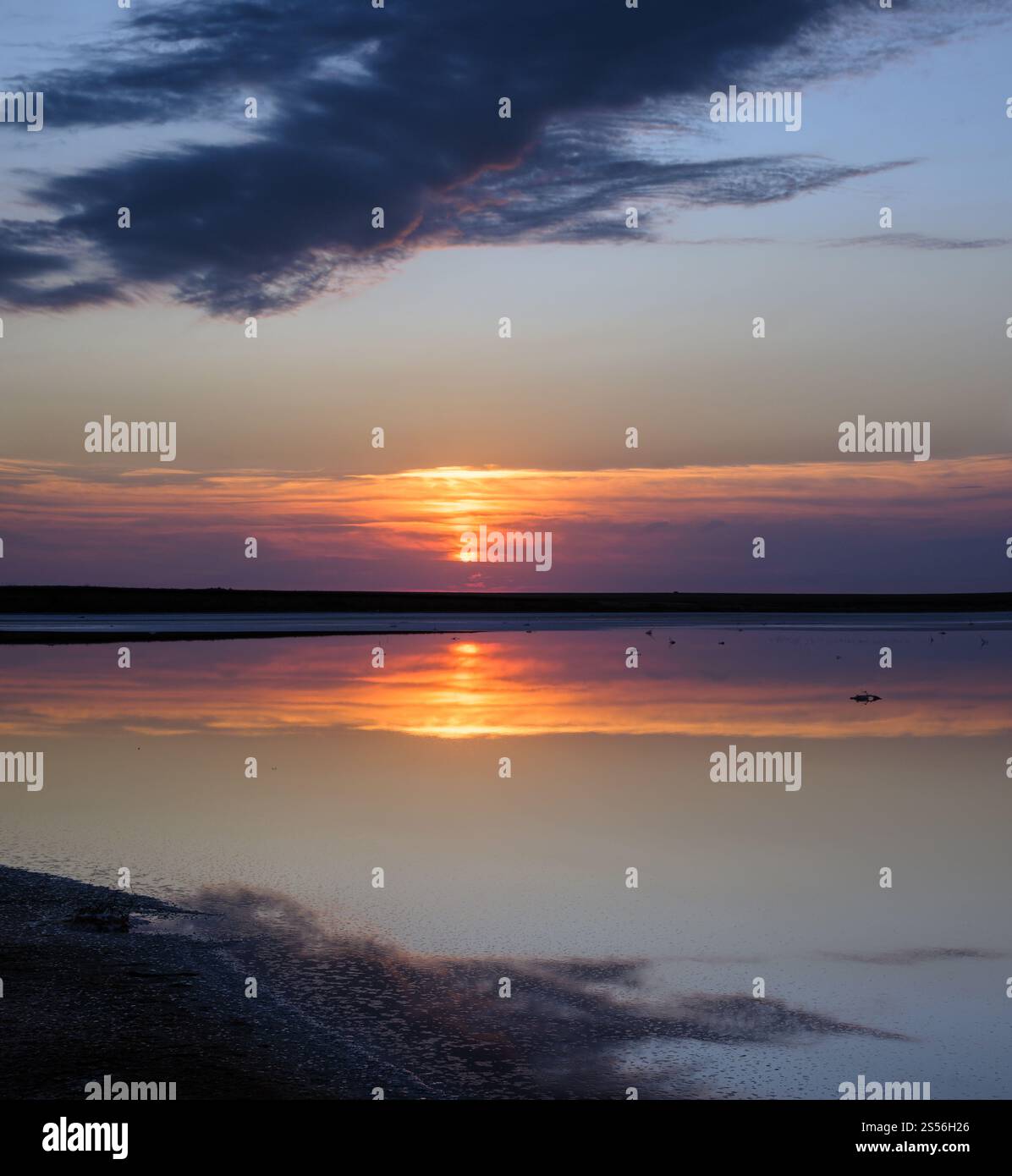Sunset on the Genichesk pink extremely salty lake (colored by ...