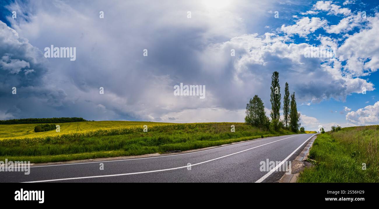 Road through spring rapeseed yellow blooming fields panoramic view ...