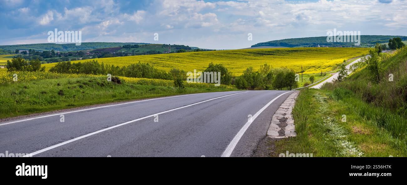 Road through spring rapeseed yellow blooming fields panoramic view ...