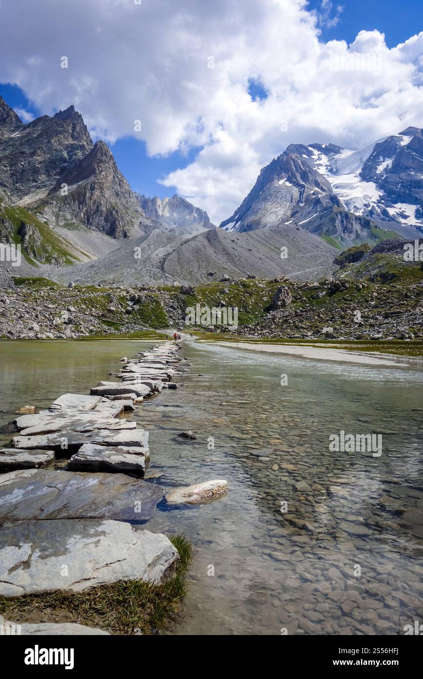 Cow lake, Lac des Vaches, in Vanoise national Park, Savoy, France. Cow ...