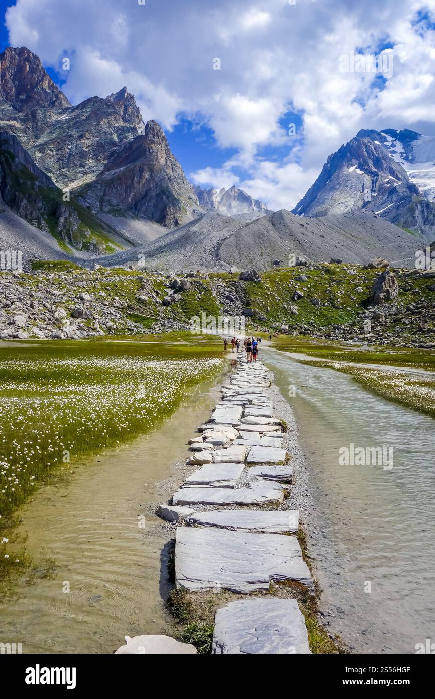 Cow lake, Lac des Vaches, in Vanoise national Park, Savoy, France. Cow ...