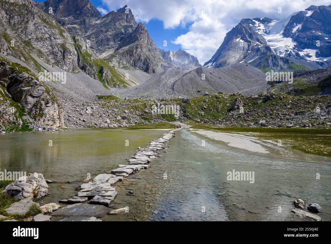 Cow lake, Lac des Vaches, in Vanoise national Park, Savoy, France. Cow ...